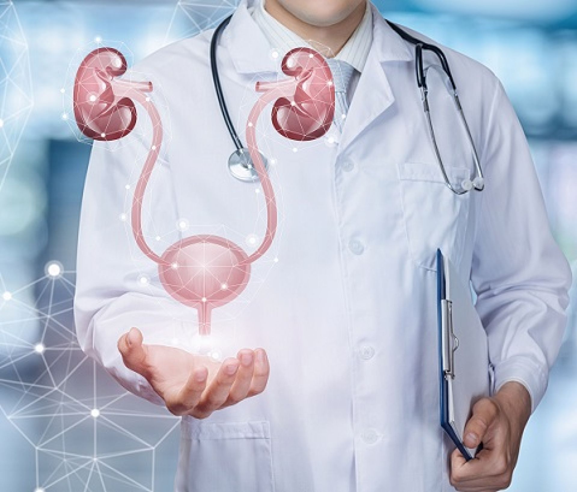 Ecografie aparat urinar - MedTime